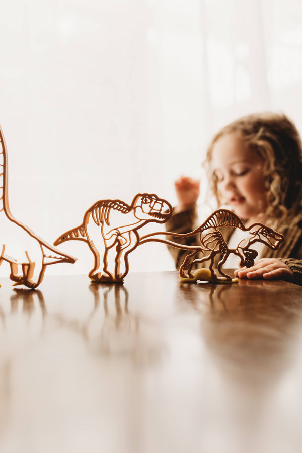 T Rex Cutter - Dinosaur Eco Playdough Tool - My Hardie
