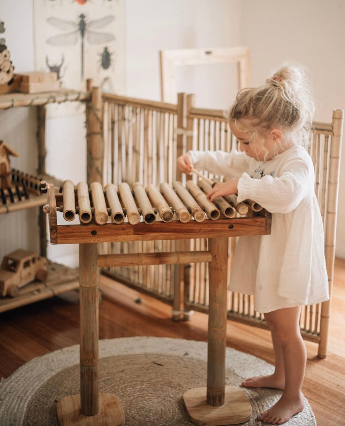 Eco Toys and Musical Instruments - My Hardie